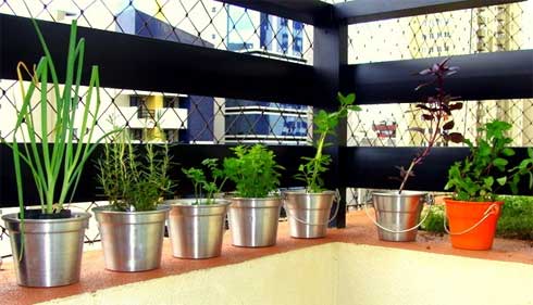 HORTA EM APARTAMENTO: HORTA NA VARANDA COM BALDES