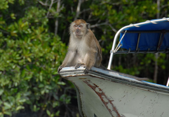 Francine Gardner - Art de Vivre: Langkawi, a jewel in the Andaman seas