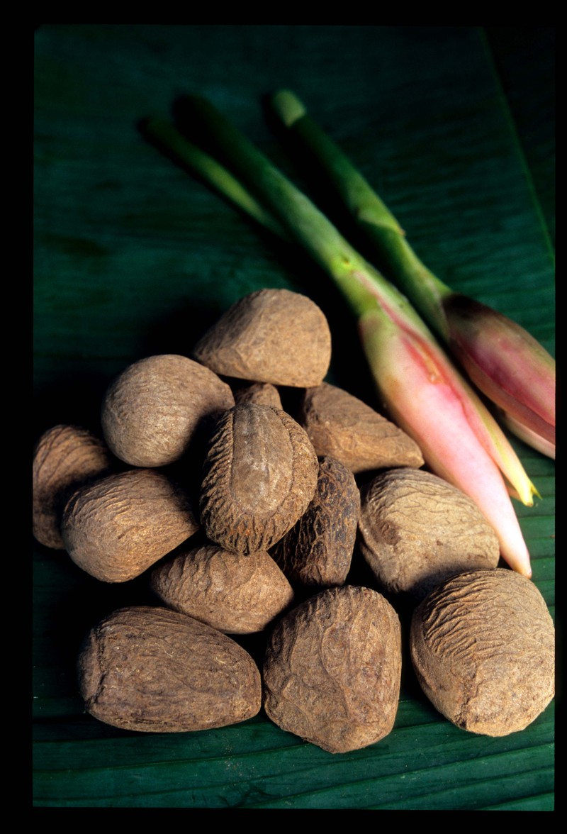 Papa Cooks!: Ayam Buah Keluak