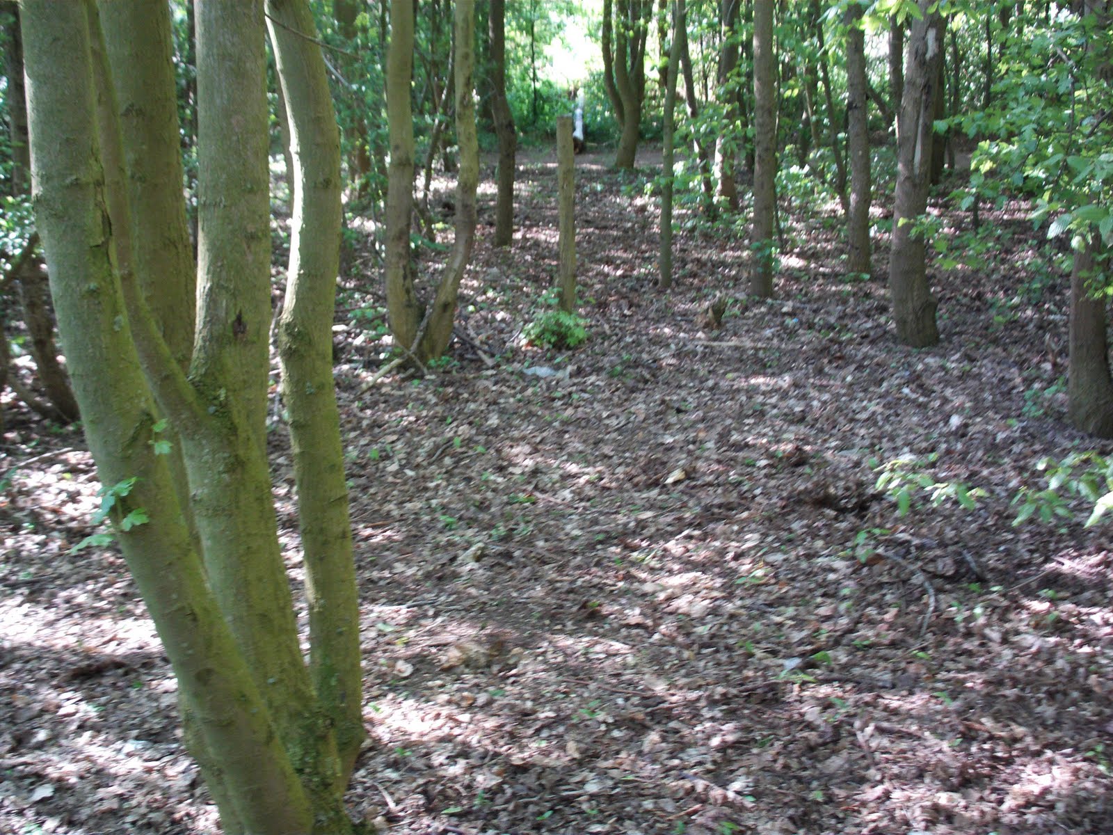 Sam Eyre's Foundation Portfolio