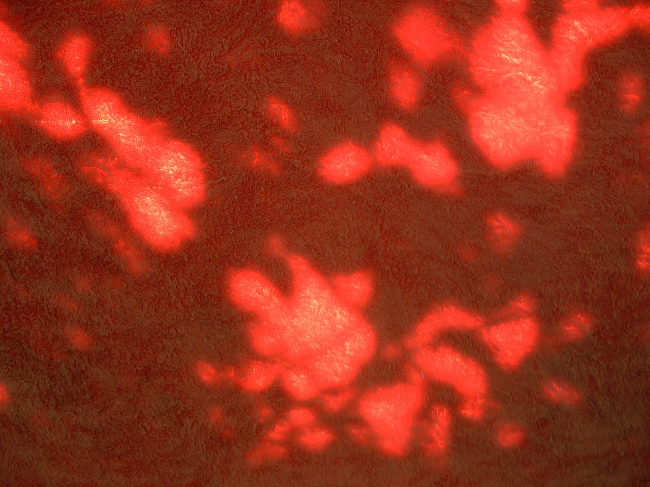 Ryan's Record Crate Mix 1