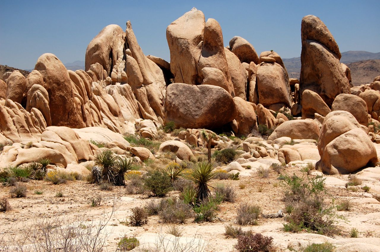crazy little thing called blog: Joshua Tree NP - Arch Rock Hike