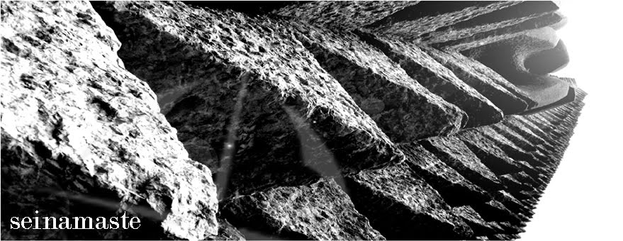 seinamaste: Alucinación Extracampina