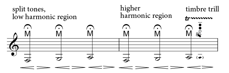 Clarinet multiphonics in Electroclarinet 1