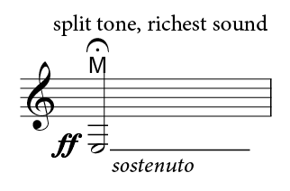Clarinet multiphonics in Electroclarinet 1
