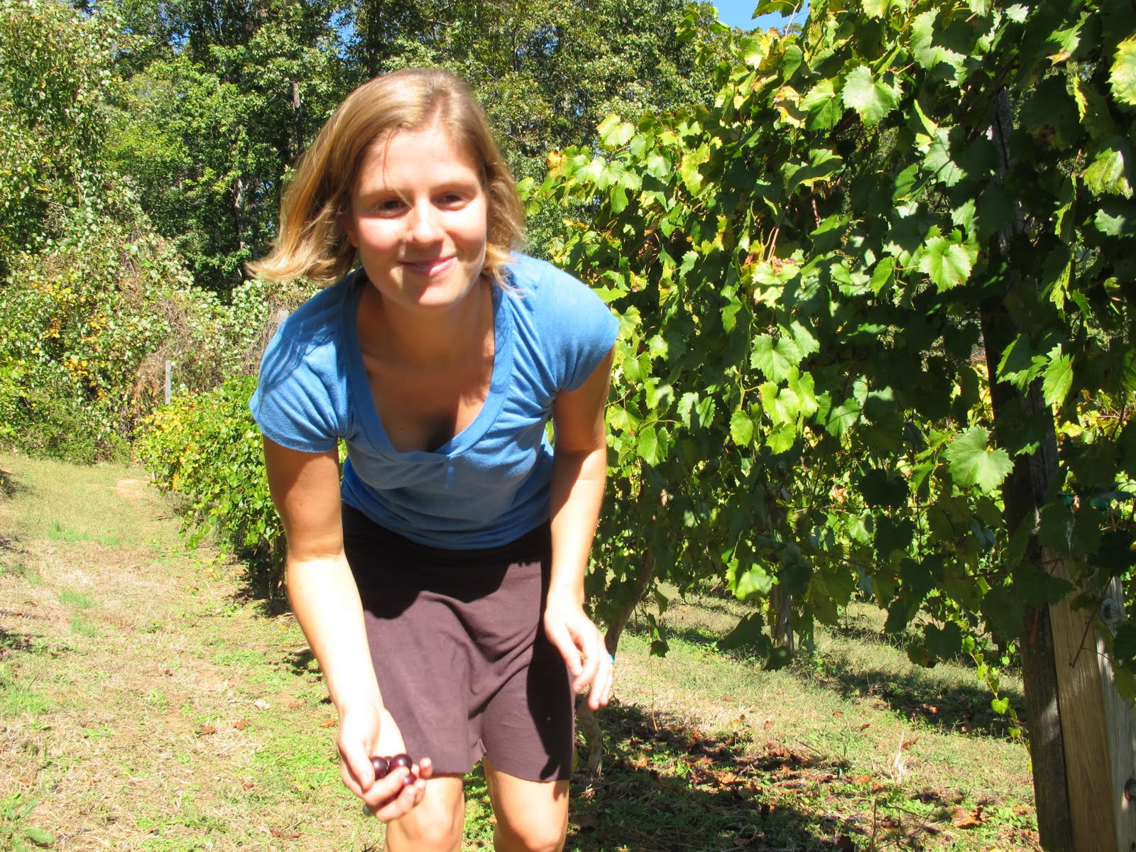 The Evolution of a Sustainable Farm: Happy Berry Farm - Carolina del Sur