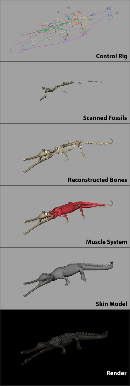 Digital Thoracosaurus Production Blog