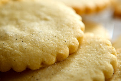 TheDish: vanilla snap biscuits