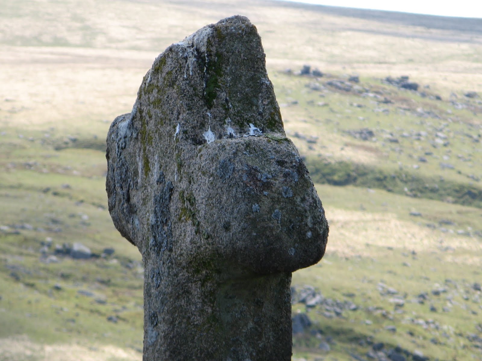 whoisthechallenger: Crossing Great Grimpen Mire