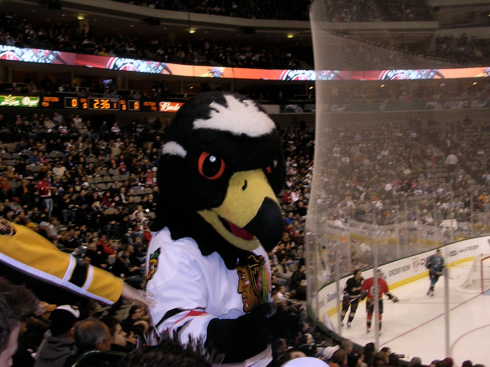 Randall Simon's Sausages: Lakers vs Blackhawks Tale of The Tape