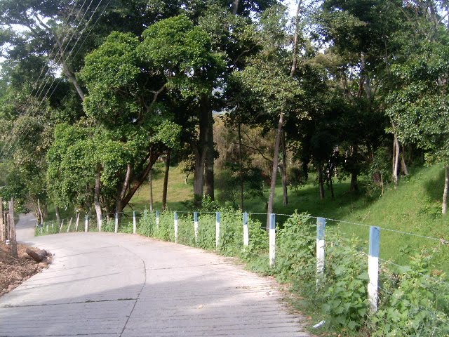 SENDERISMO POR EL ESTADO MERIDA VENEZUELA: CAMINATA: CHIGUARÁ - EL ...