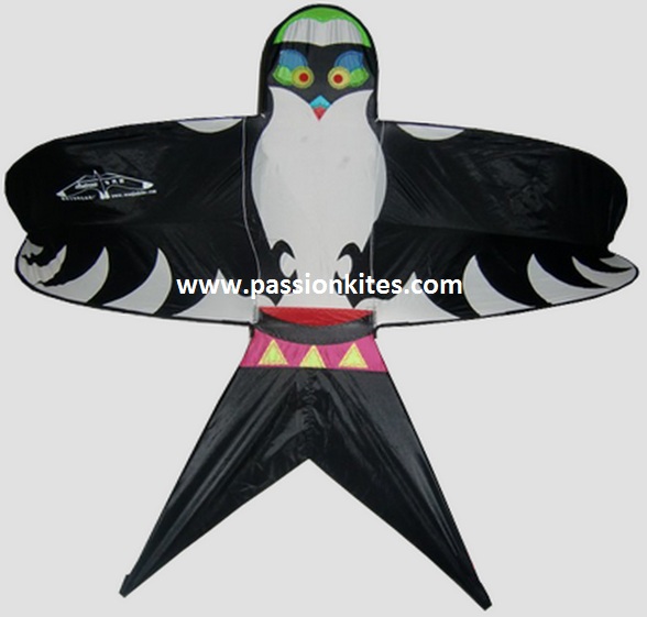 Buy Kites in Singapore: New Product Updates