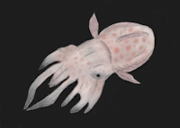 Diaries of a Speculative Biologist: Walking with ambuloteuthids