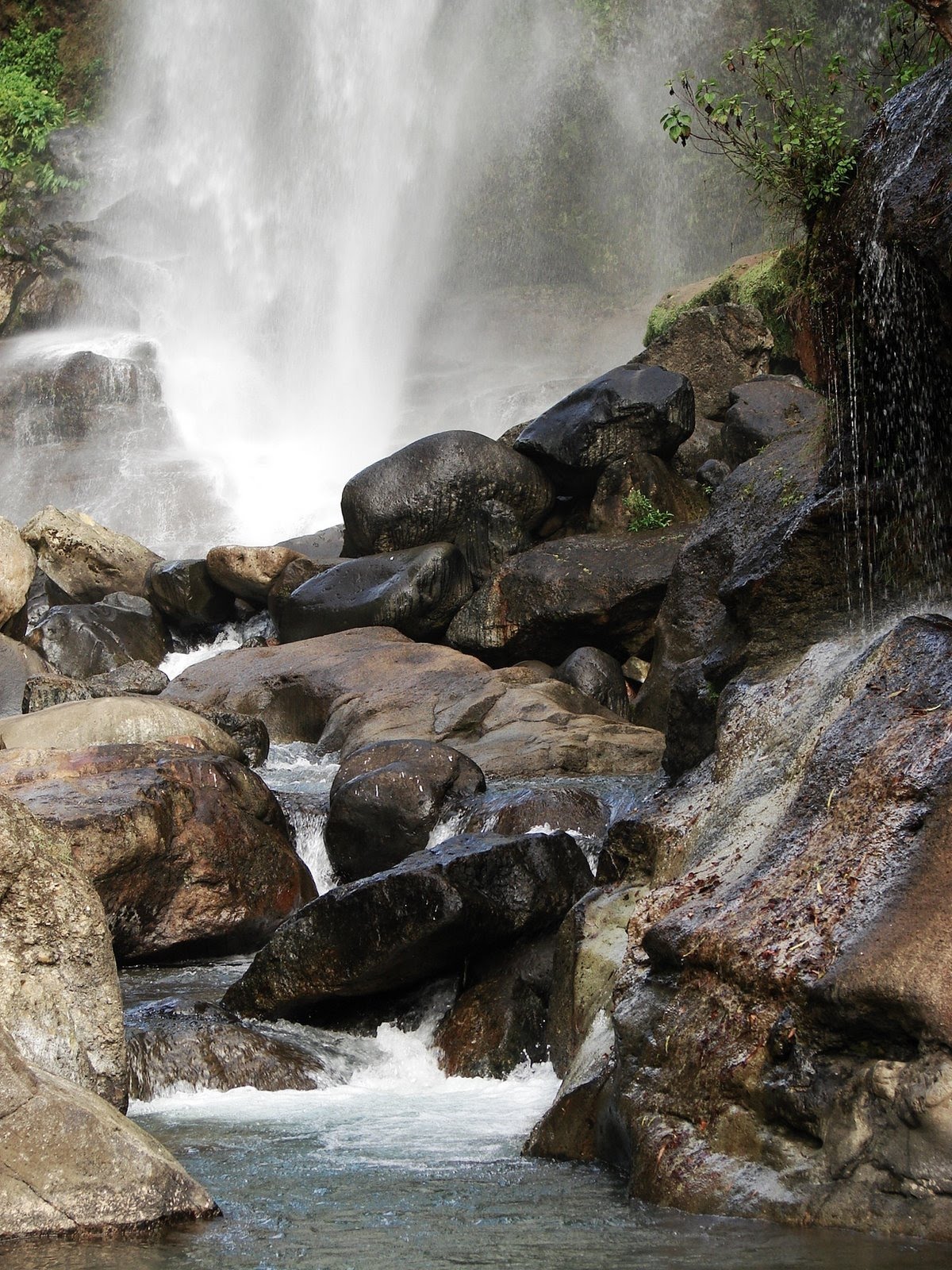 November 2009 | sagada-igorot.com