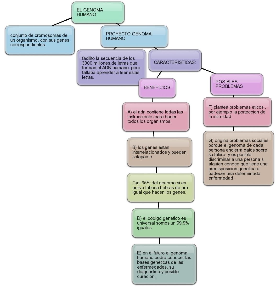 Mapa - El Mapa del Proyecto Genoma Humano [The Human Genome Project Map]