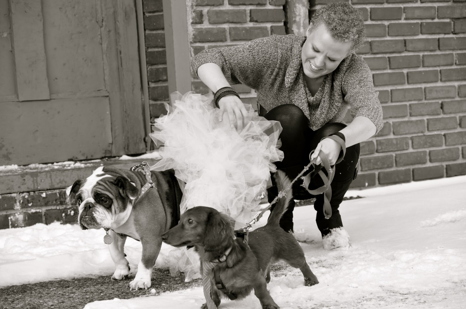ARTiculate{1}: Crazy Dog Lady Has a Christmas Photo Shoot