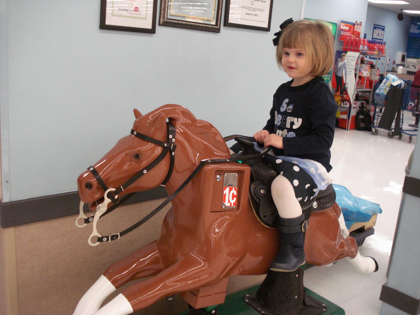 Our Little Blessing: Penny horse