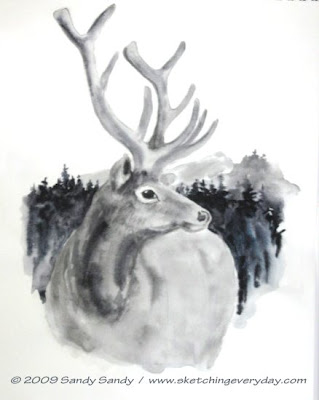 *Sketching Every Day*: Colorado Bull Elk