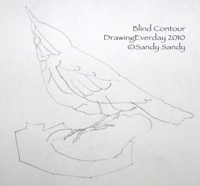 *Sketching Every Day*: Blind Contour Bird - Another Exercise Drawing