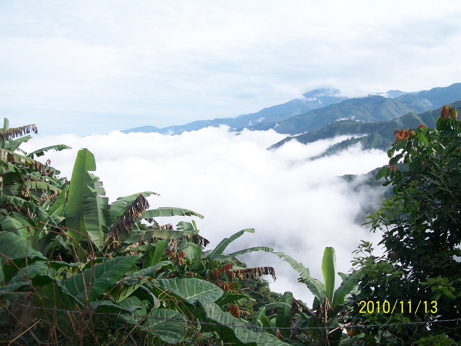 LA PAZ ES MI PUEBLO: LA SERRANIA DEL PERIJA