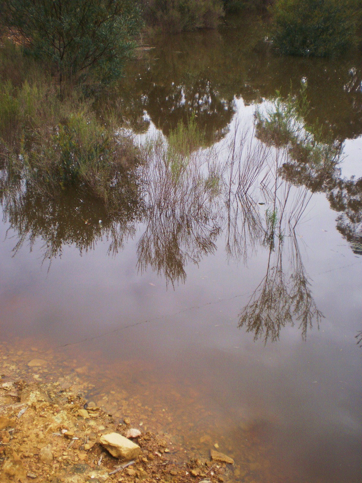 pobblebonking: Zone 4