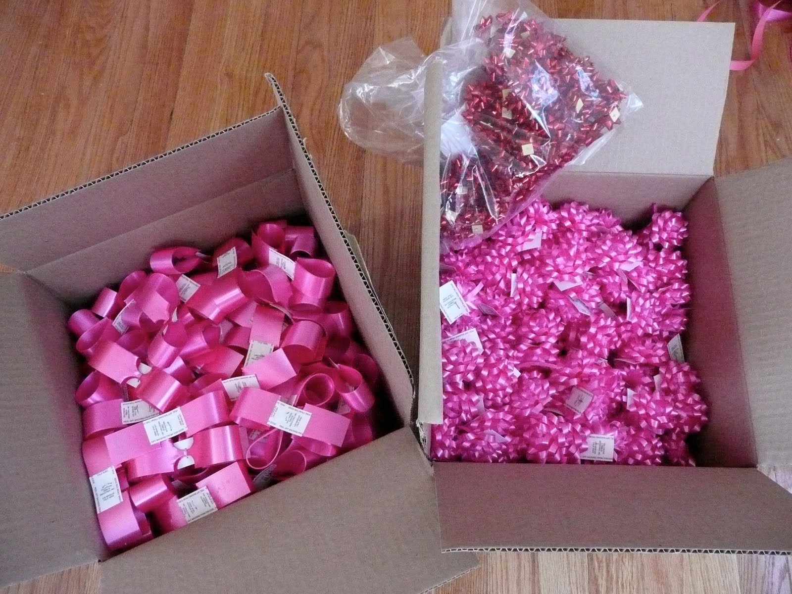 Karen Appleton: Here comes the Show!