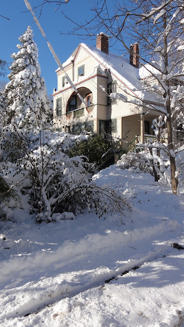 ArchiTalk: Snow: architecture's arbiter and advocate