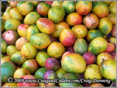 Colors: Mango — iDunning.com