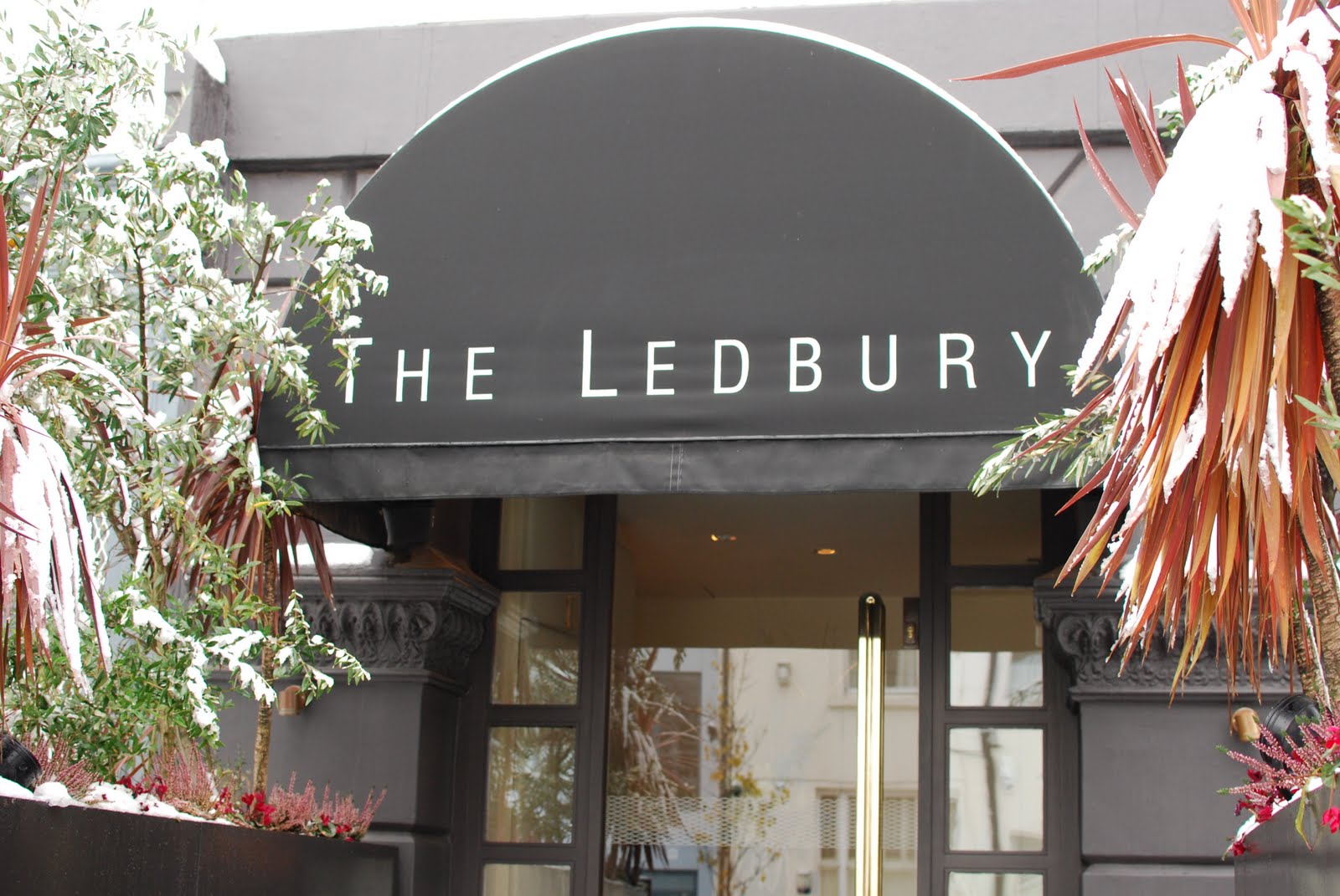 Essex Eating: The Ledbury - London