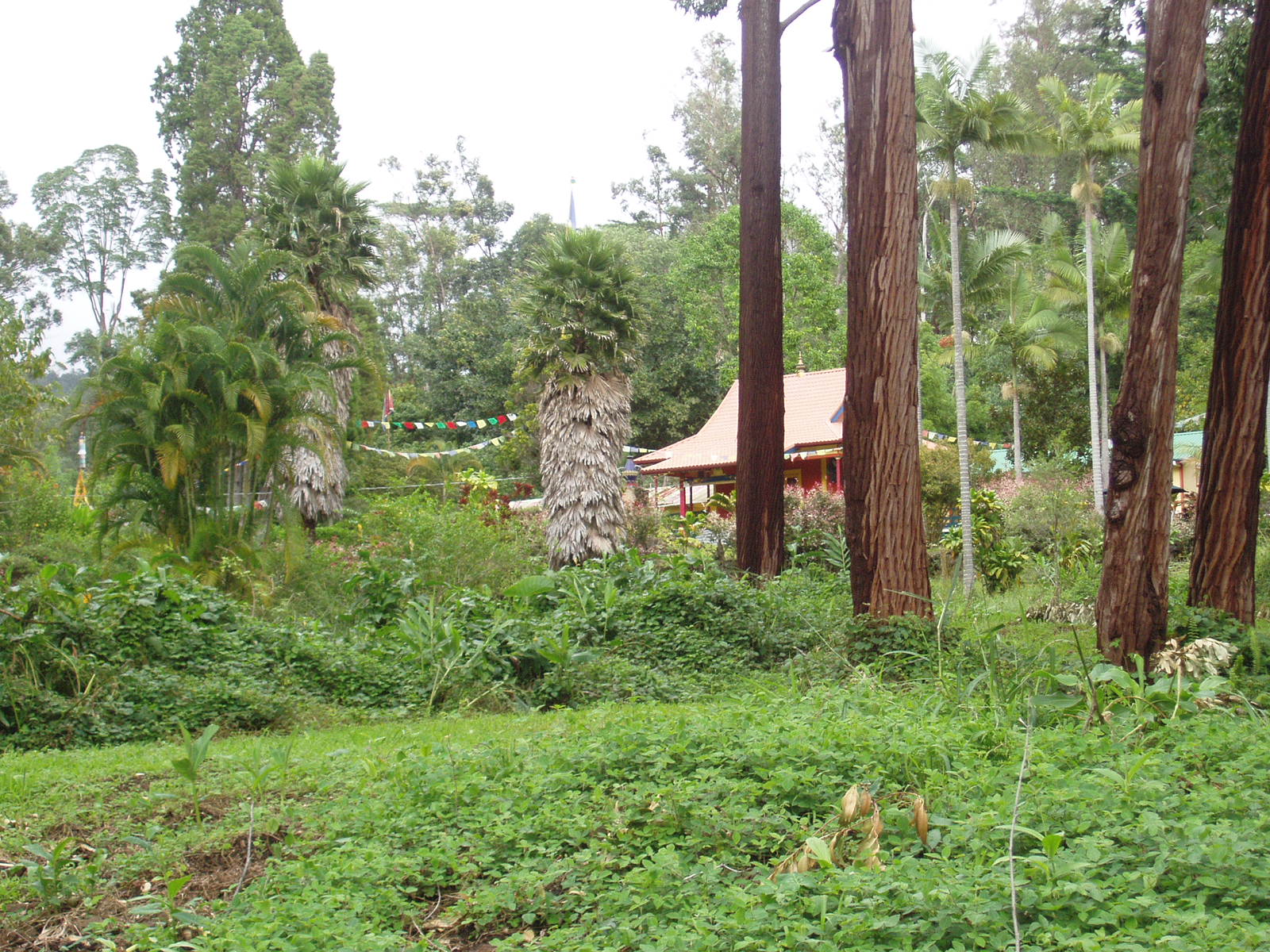 Vajrayana Forms: Wood Valley Temple