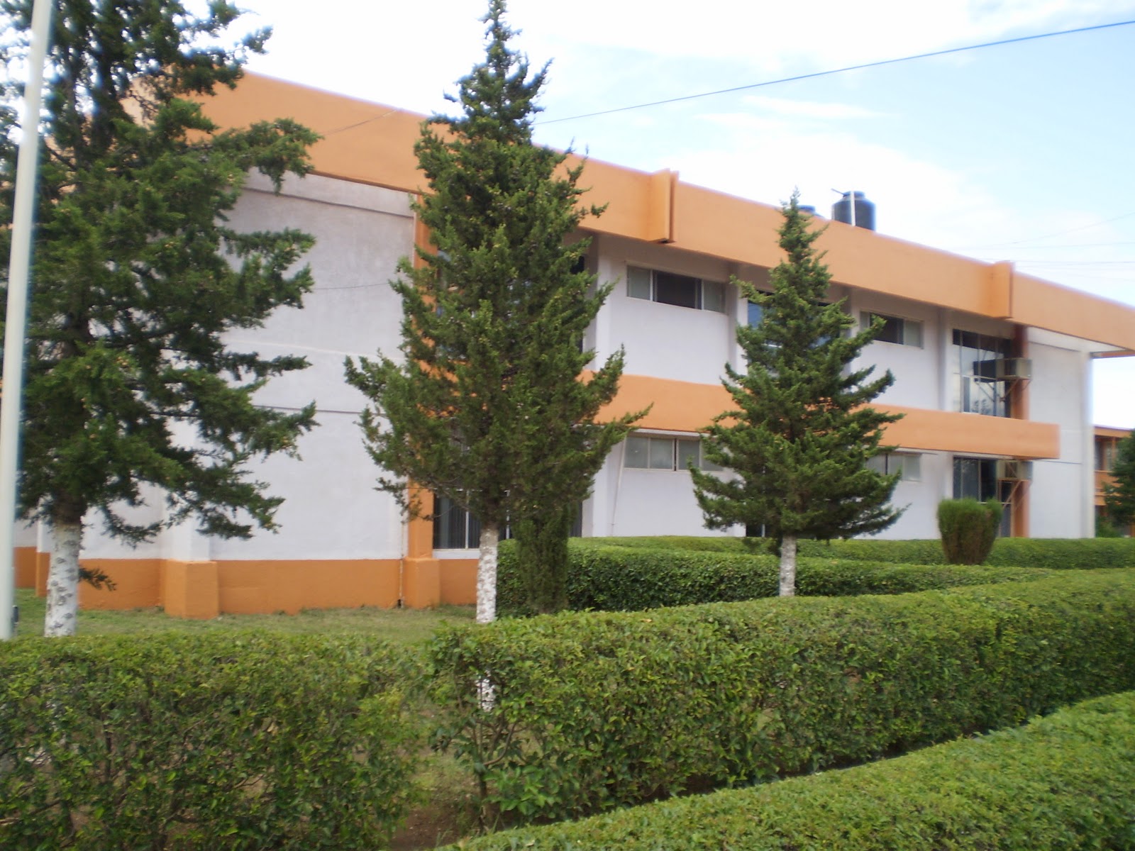Fernando: INSTITUTO TECNOLOGICO SUPERIOR CANANEA