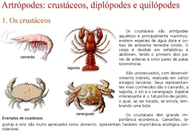 Crustaceos Exemplos