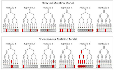 The Evilutionary Biologist: This Week's Citation Classic: The ...