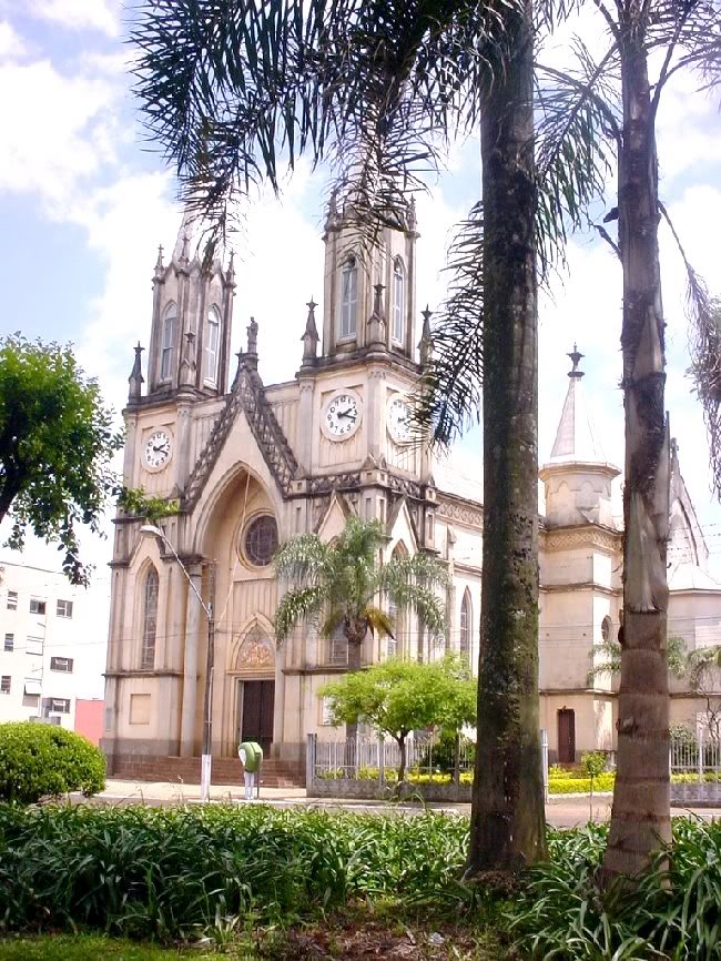 Xaxim | Santa Catarina