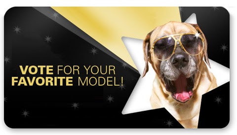 Tails in the City Events: Tails in the City Dog Model Contest. Vote ...