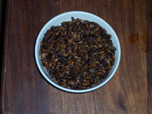 Chris Barrell Our Man in Monze : World AIDS Day & Confused Inswa