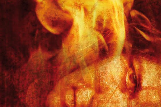 Infinito Misterioso: La Combustión Humana Espontánea