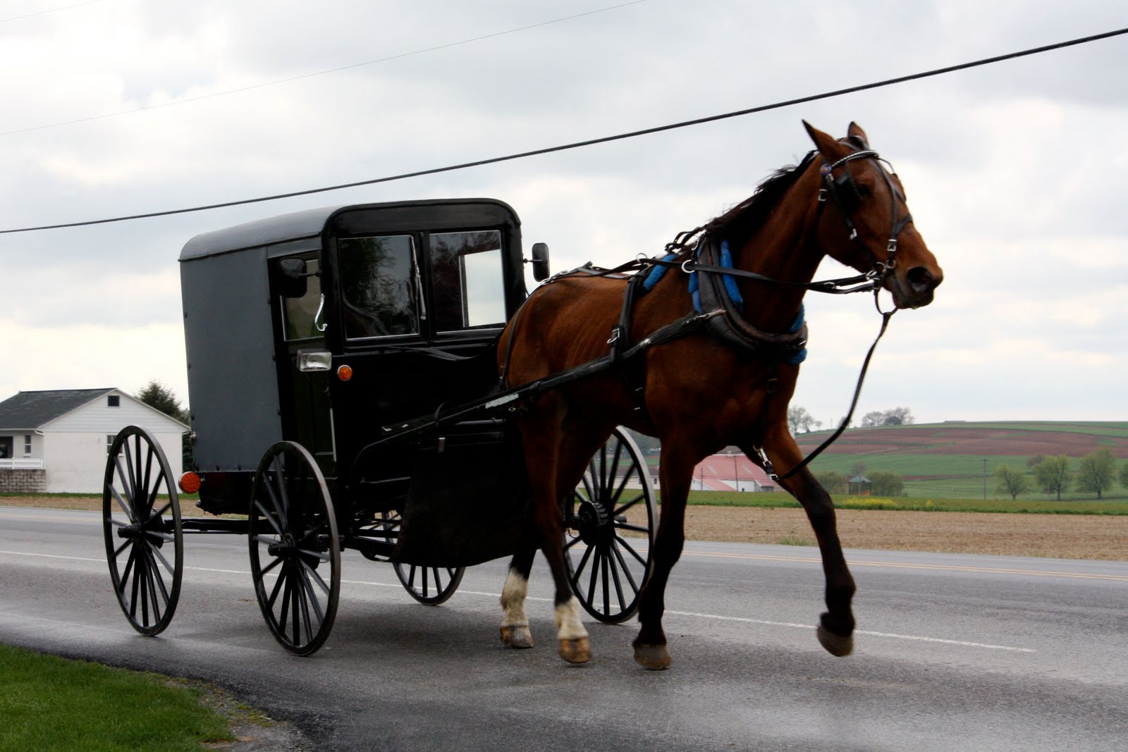 Lock Down in PA: Amish Road Trip Tuesday
