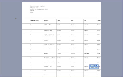 A Playa Journey: Menaje de Casa (Household Visa)
