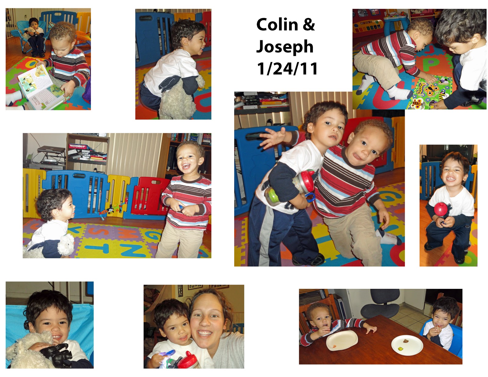 Life in the Eyes of Catina: January Journal