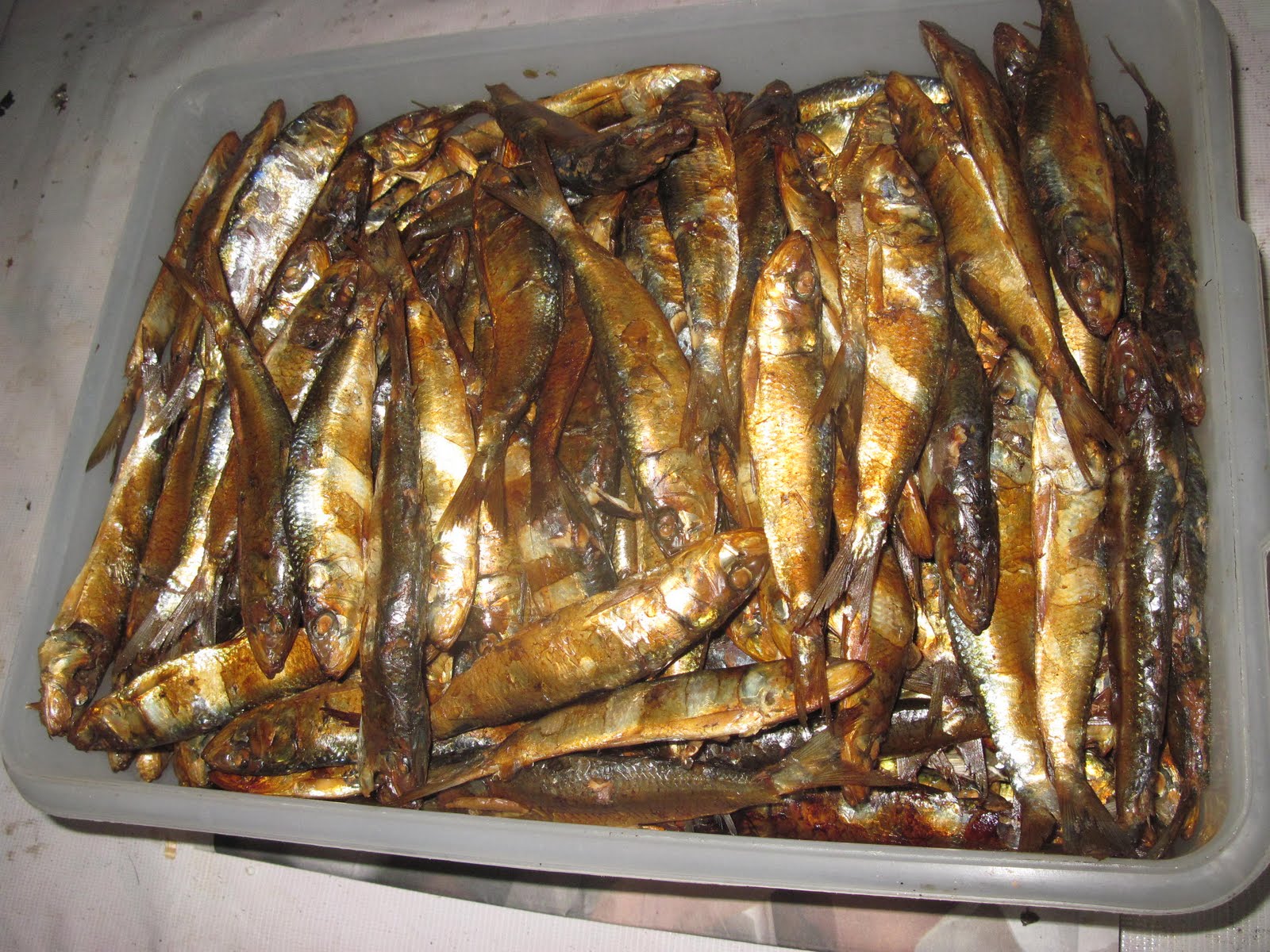 SMOKED FISH: Smoked Fish ( TAMBAN )