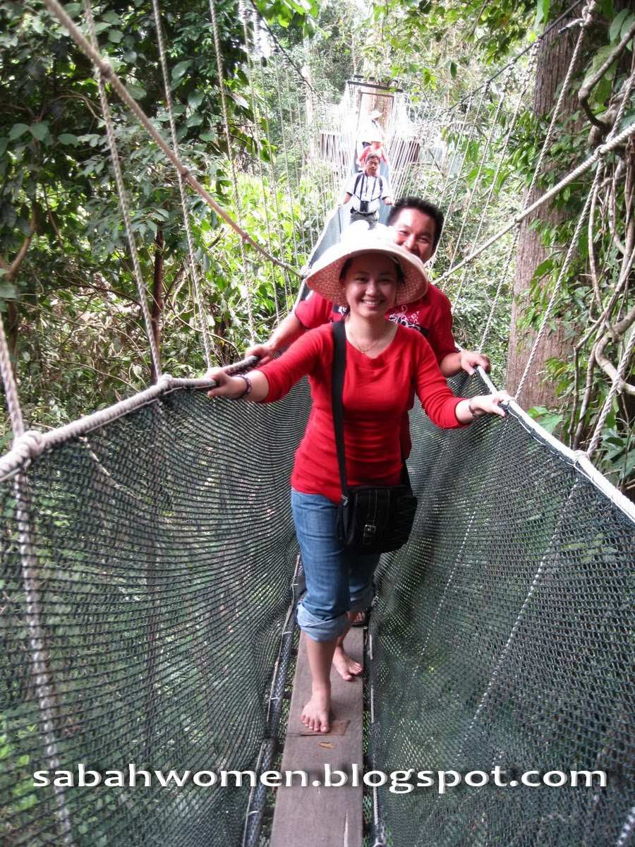 Canopy Walkway at Poring Hot Spring, Ranau | Sumandak Kinabalu Little ...