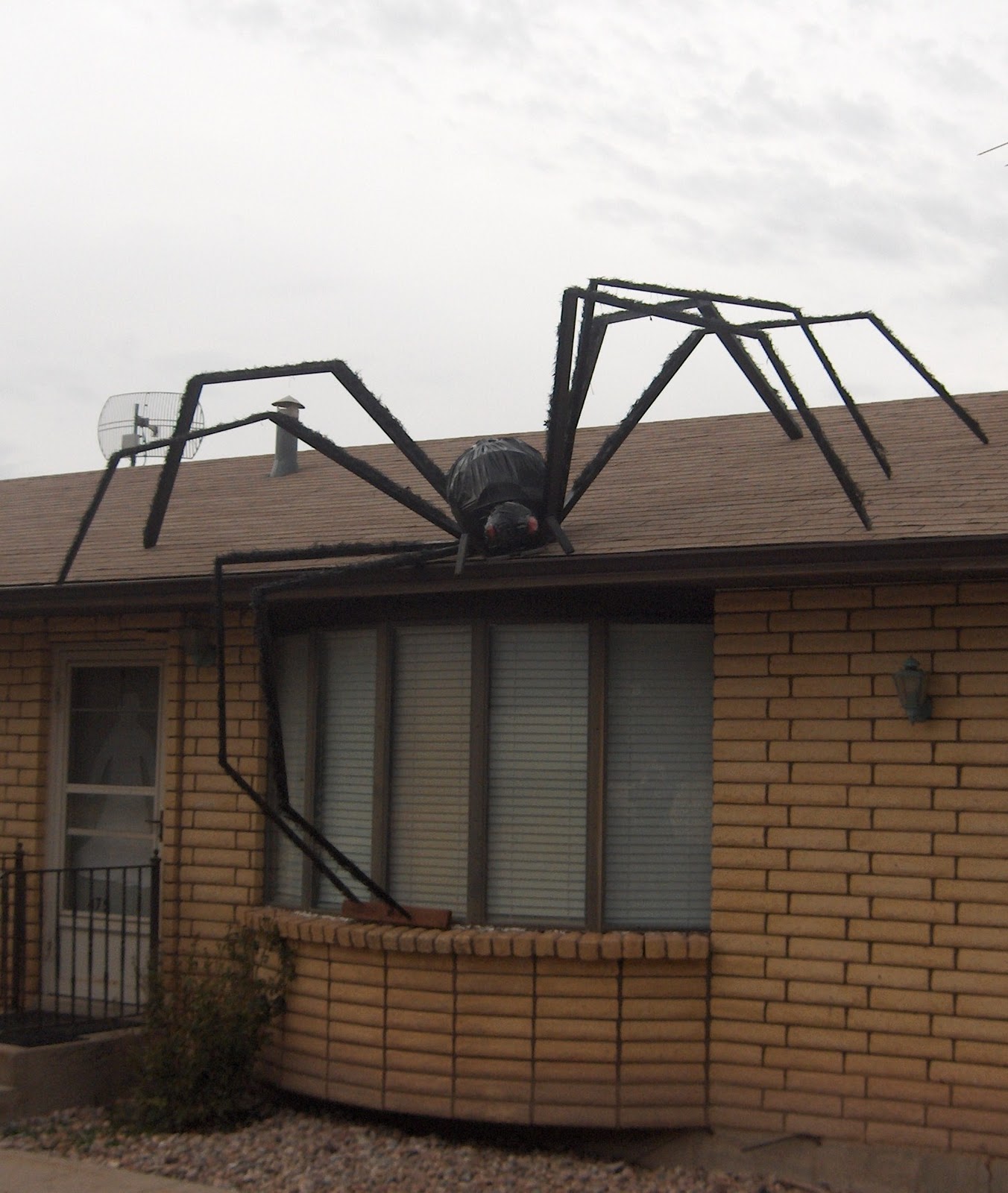 My Brood of Wild Beasts: If you can’t Beat ‘em, Join ‘em…and THEN Beat ‘em