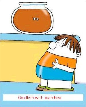 Stop going into hotel pools when you have diarrhea, CDC says