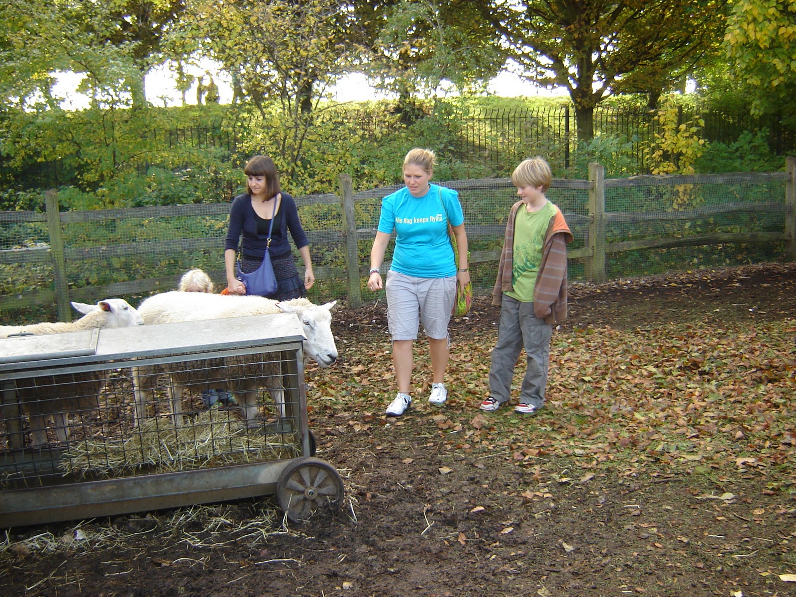 London Stories: Zoo, Harrods, Sunday Afternoon at Elthorne