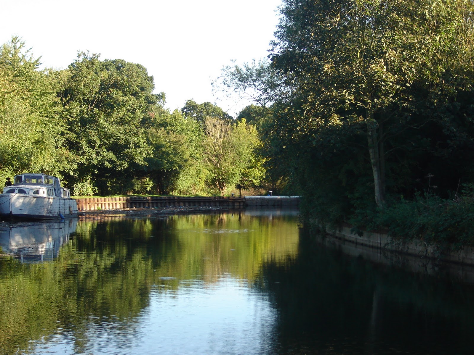 London Stories: Zoo, Harrods, Sunday Afternoon at Elthorne