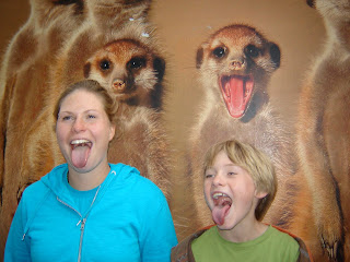 London Stories: Zoo, Harrods, Sunday Afternoon at Elthorne