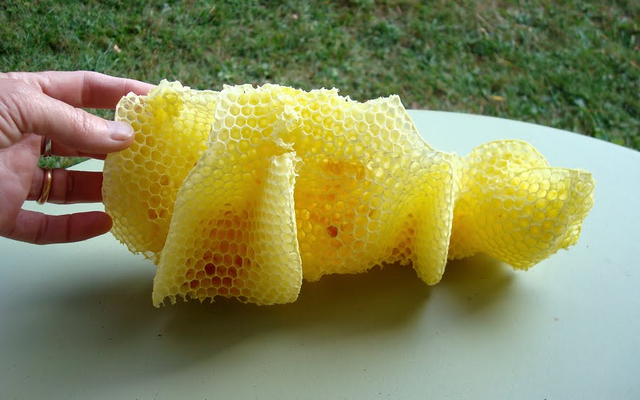 Strumelia's Blog: Crazy Comb