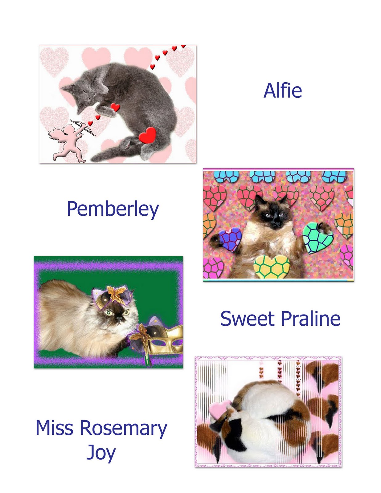 calendar cats