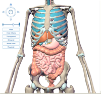 El Rincón del RMI: Visible Body.-El cuerpo humano en 3D